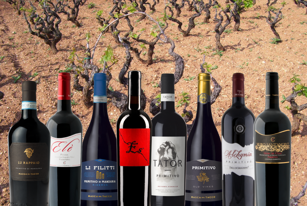 Plush + Powerful Primitivo (Italian Zin) | Once Upon A Vine