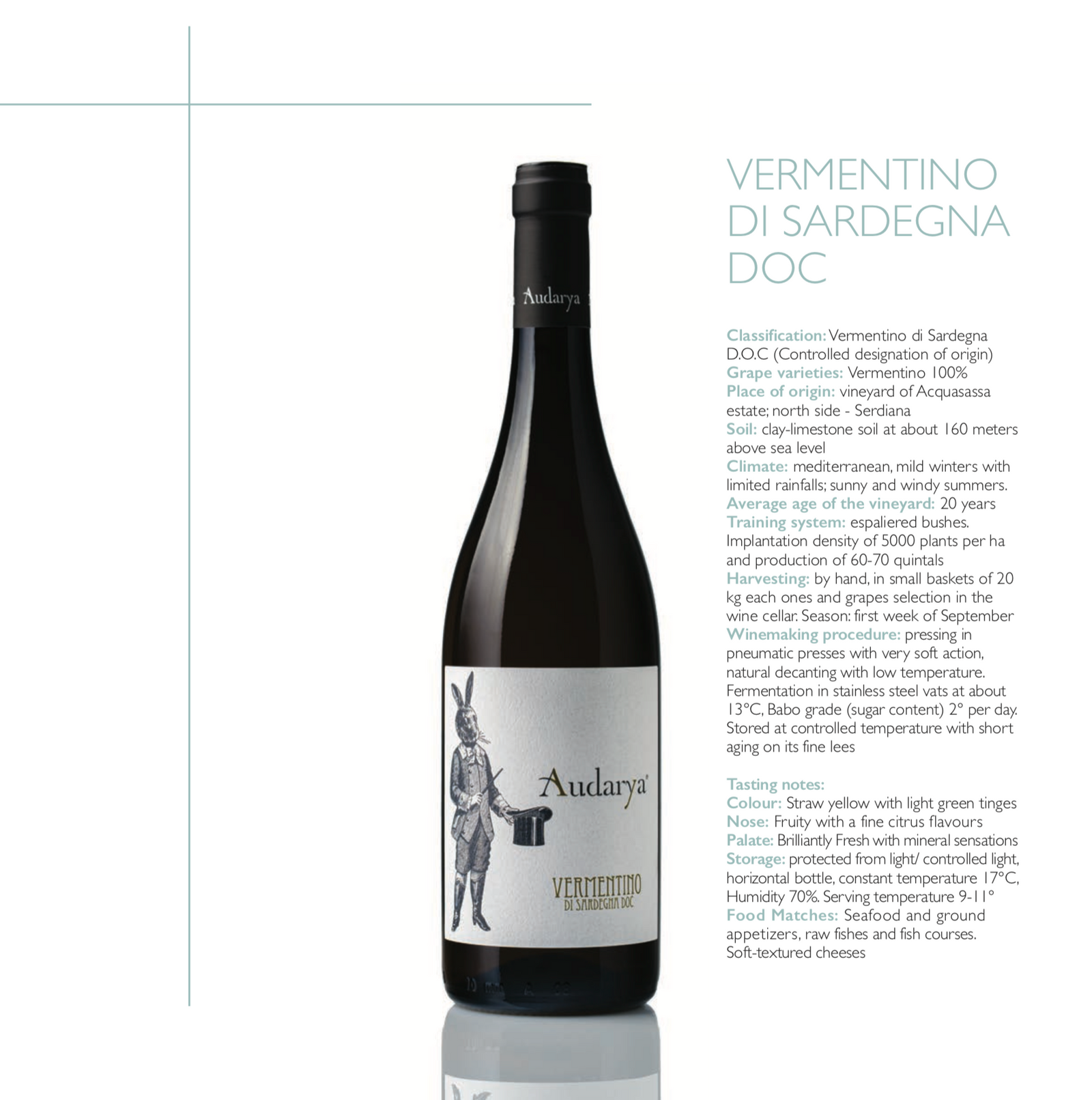 VERMENTINO 2022 [Audarya] 75cl - buy online for delivery– Once Upon A Vine